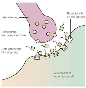 Beta-Blockers - Pharmacology - Medbullets Step 1