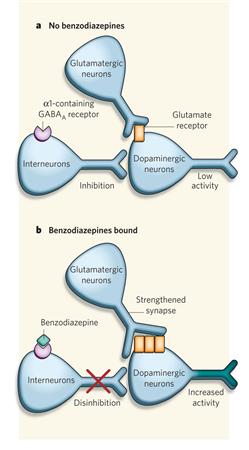 Question 103744 - Qbank - Medbullets Step 2/3