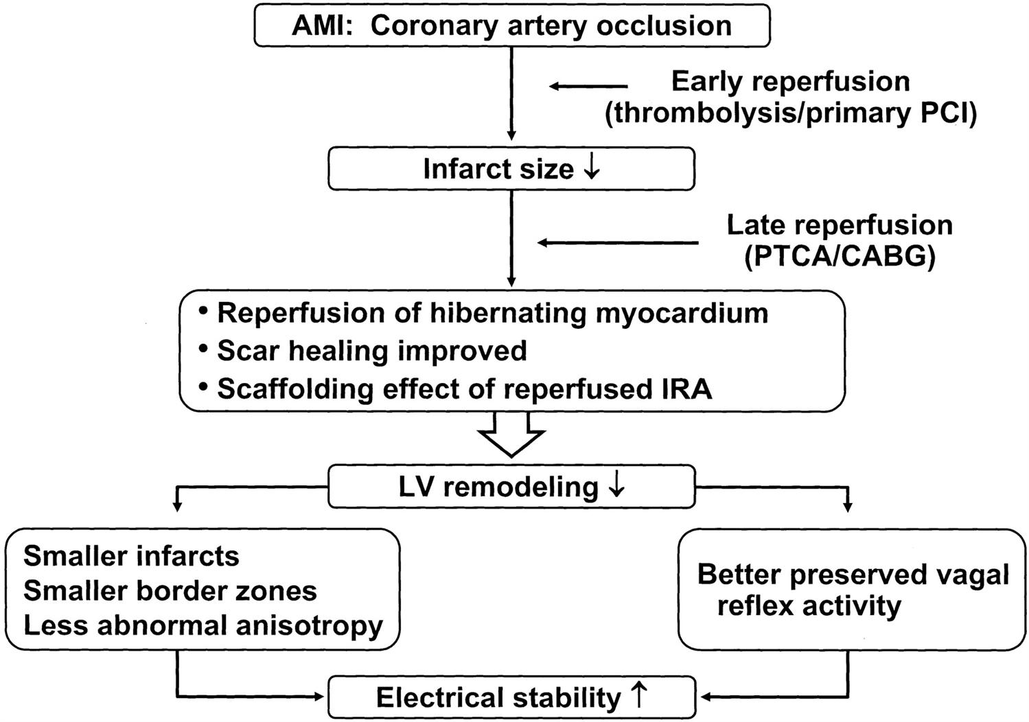 Myocardial Infarction - Cardiovascular - Medbullets Step 2/3