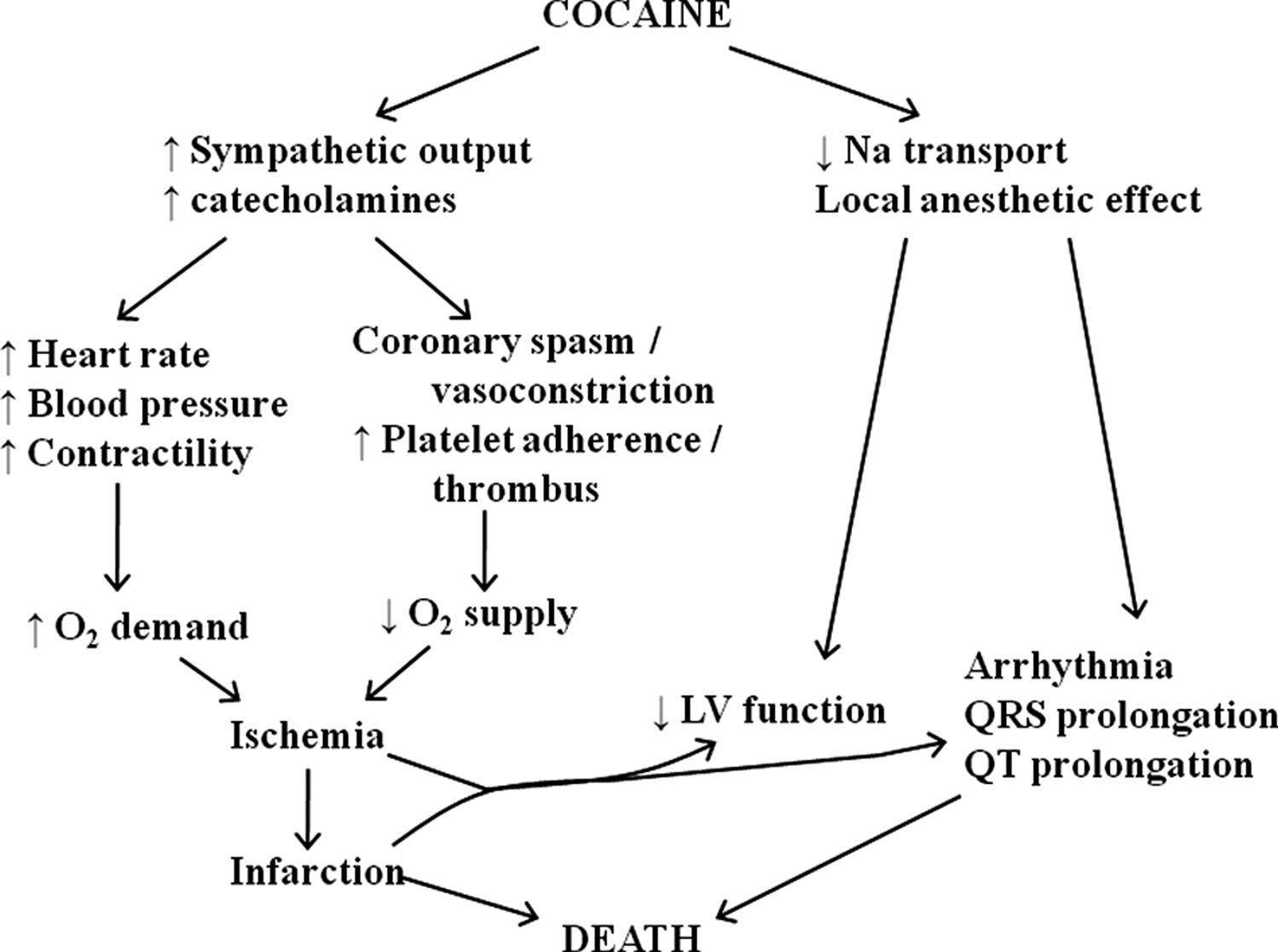 Question 104051 - Qbank - Medbullets Step 2/3