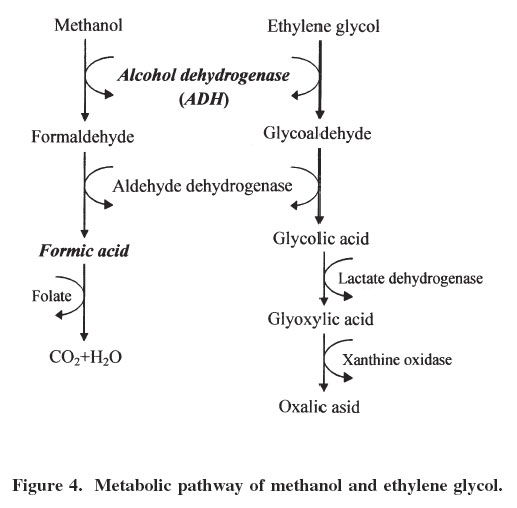 Question 104290 - Qbank - Medbullets Step 2/3