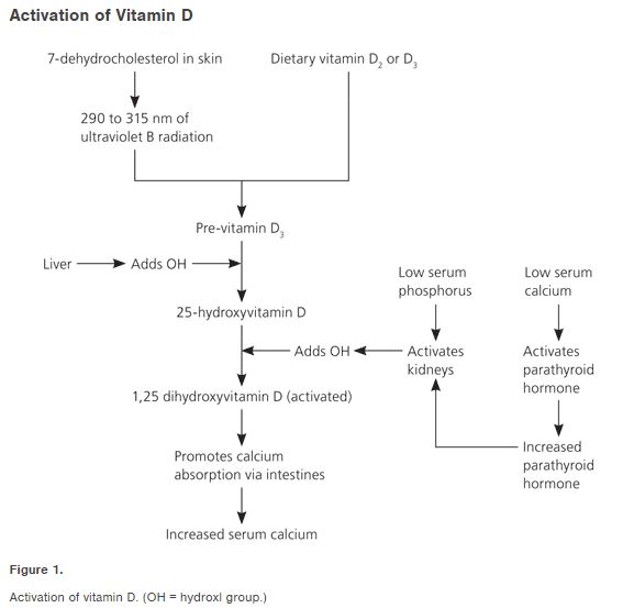 Question 104347 - Qbank - Medbullets Step 2/3