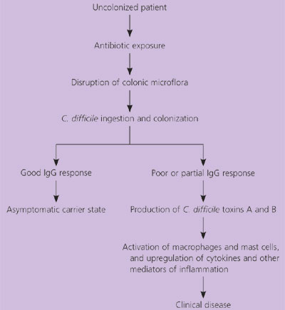 Question 104548 - Qbank - Medbullets Step 2/3
