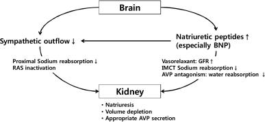 Subarachnoid Hemorrhage - Neurology - Medbullets Step 2/3