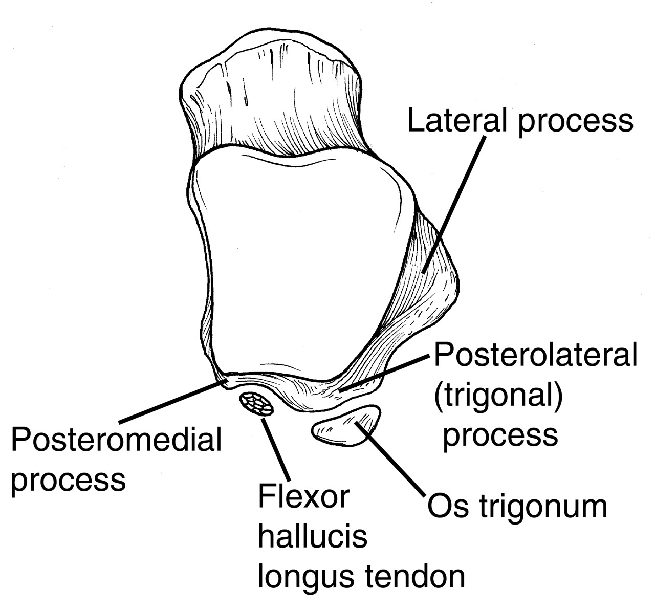 Question 106420 - Qbank - Medbullets Step 2/3