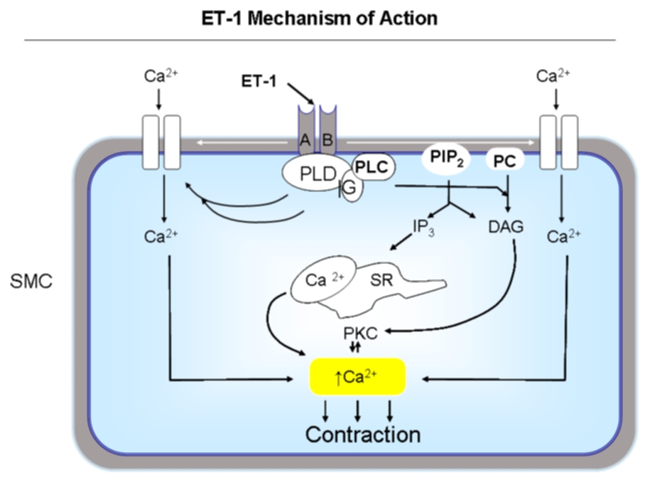 Bosentan - Respiratory - Medbullets Step 1